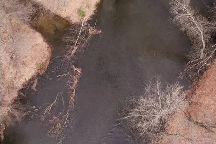 Stream cleaning - Zweig List